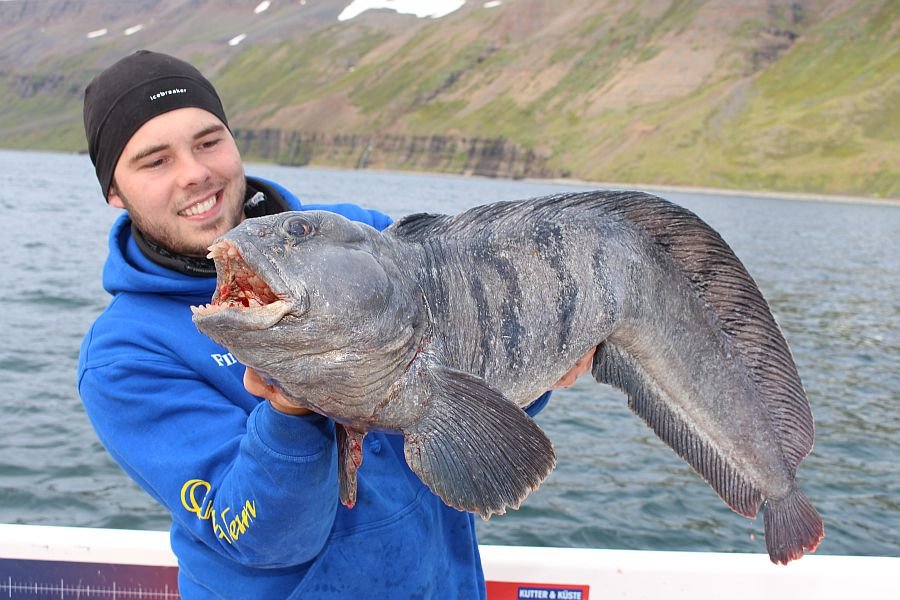 Angeln in Island: Sudureyri günstig buchen - ISSUD