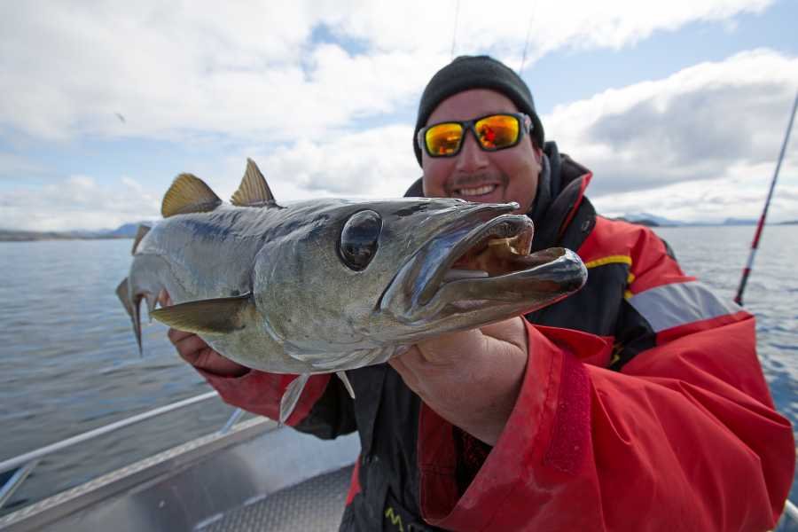 Angeln in Norwegen: OscarBrygga günstig buchen - NMOSC
