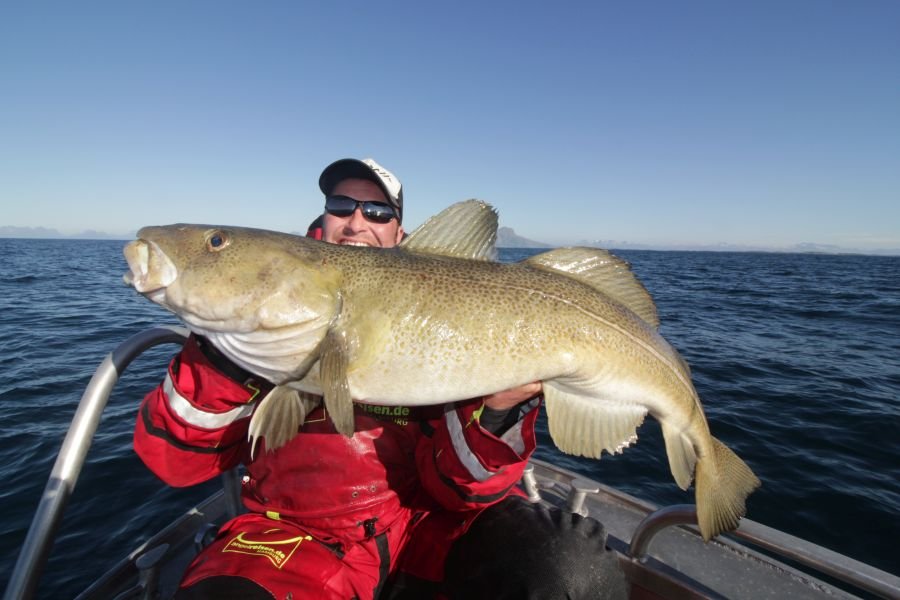 Angeln in Norwegen: Saltstraumen Brygge günstig buchen - NNSAL