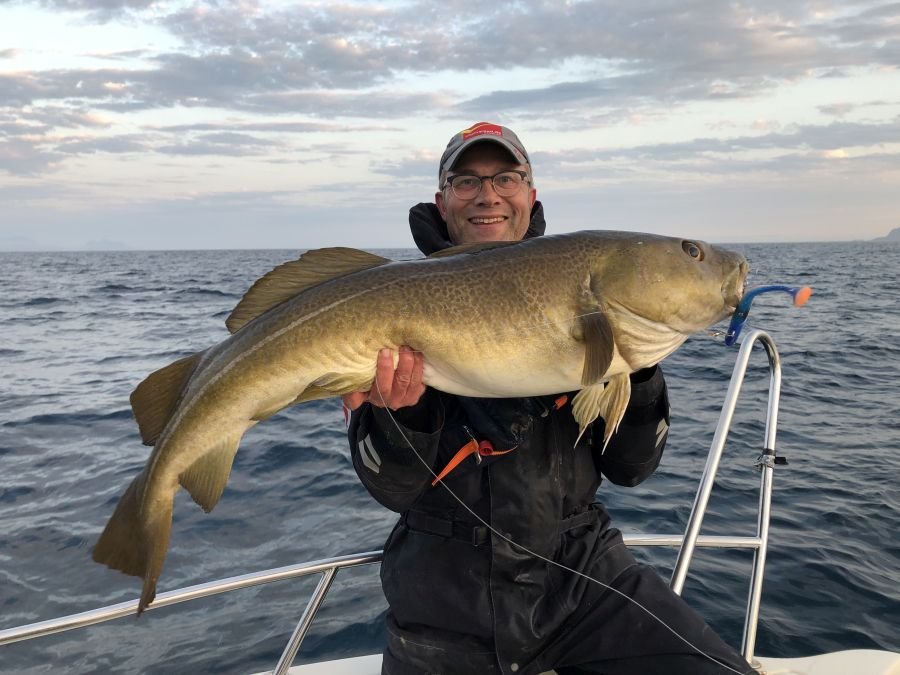 Angeln in Norwegen: Lofotbrygga Brettesnes günstig buchen - NNLBB