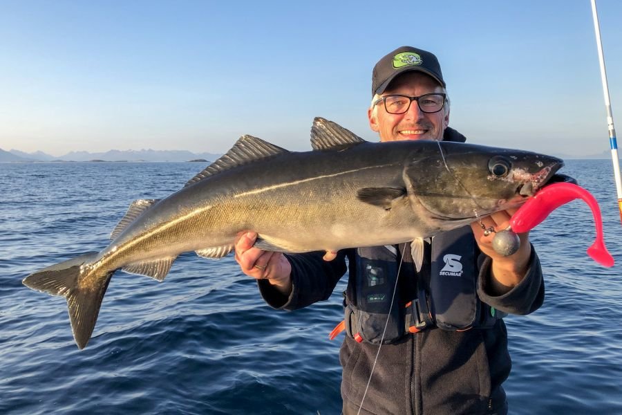 Angeln in Norwegen: Lofotbrygga Brettesnes günstig buchen - NNLBB