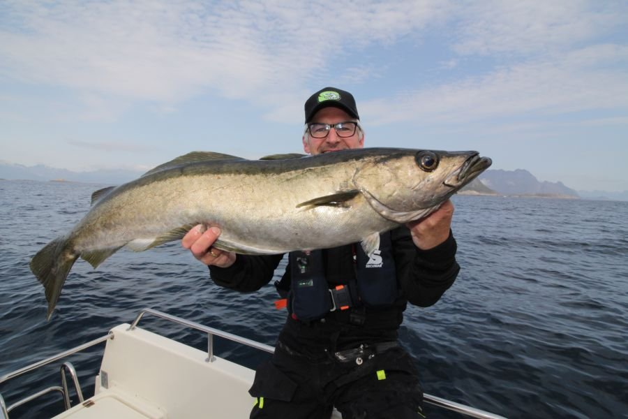 Angeln in Norwegen: Lofotbrygga Brettesnes günstig buchen - NNLBB
