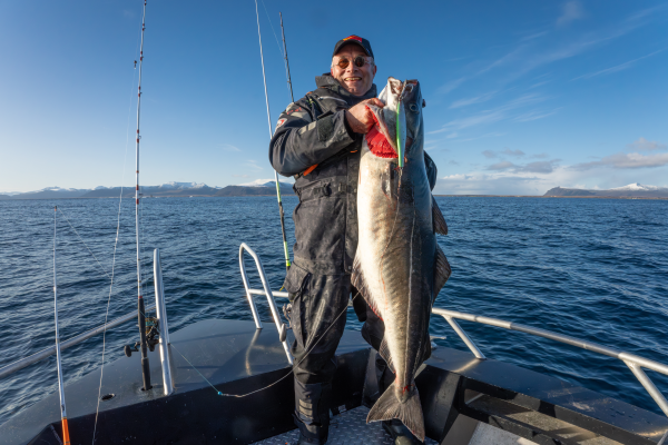Angeln in Norwegen: Senja Havfiskesenter günstig buchen - NNSHA