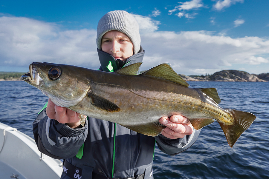 Angeln in Norwegen: Farsund Apartments günstig buchen - NSFSA