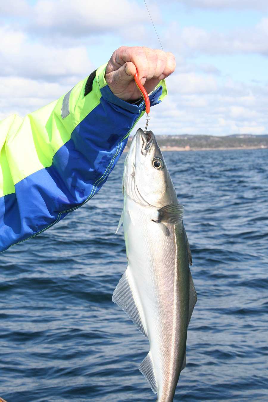 Angeln in Norwegen: Anglerhaus Pirat Fishing günstig buchen - NSPIR