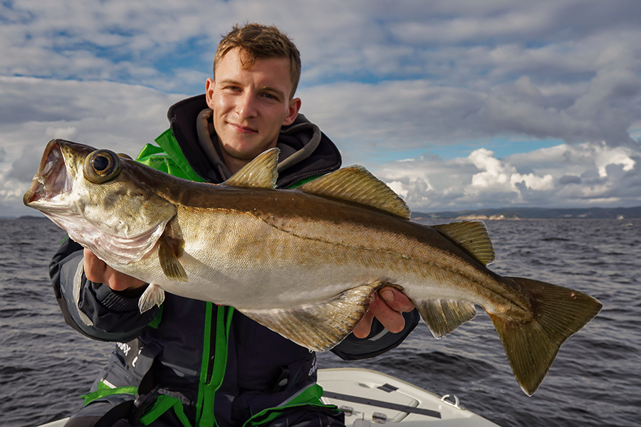 Angeln in Norwegen: Ferienhaus Lauholmen günstig buchen - NSLAH