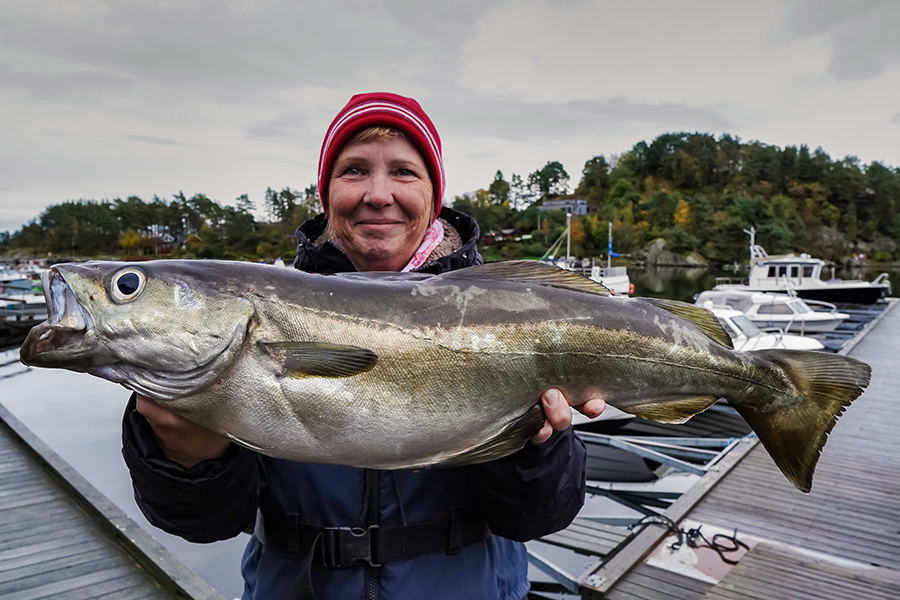 Angeln in Norwegen: Ferienhaus Kåfjord 1 günstig buchen - NSKA1