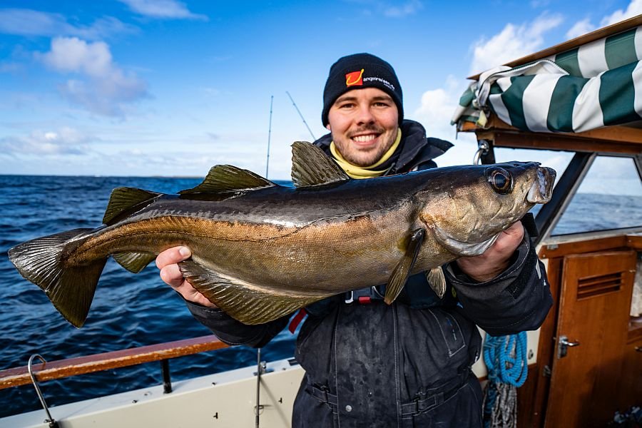 Angeln in Norwegen: Middvik Feriesenter günstig buchen - NWMID